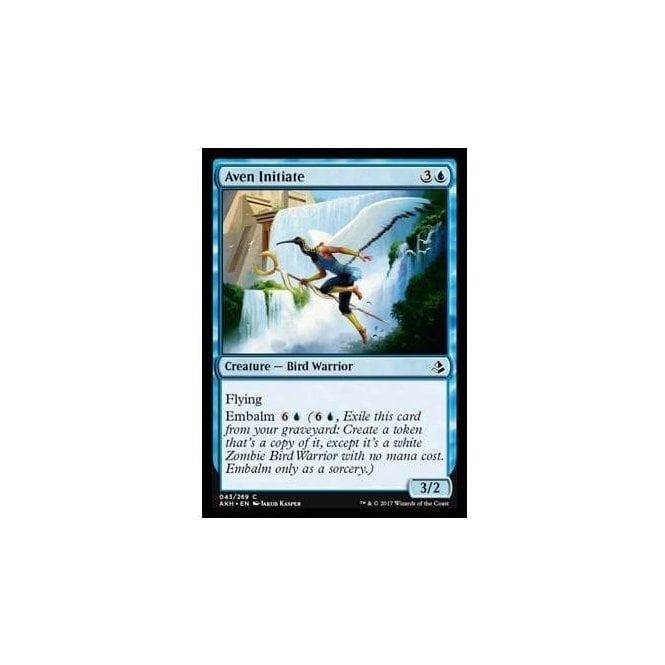 Aven Initiate (FOIL) : AMONKHET 043/287 - Magic the Gathering Single Card