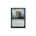 Grow from the Ashes : DOMINARIA 164/280 - Magic the Gathering Single Card