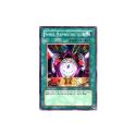 Yu-Gi-Oh! Card DR1-EN245 Spell Reproduction | Chaos Cards