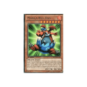 Yu-Gi-Oh! Card SRL-EN071 Manga Ryu-Ran | Chaos Cards