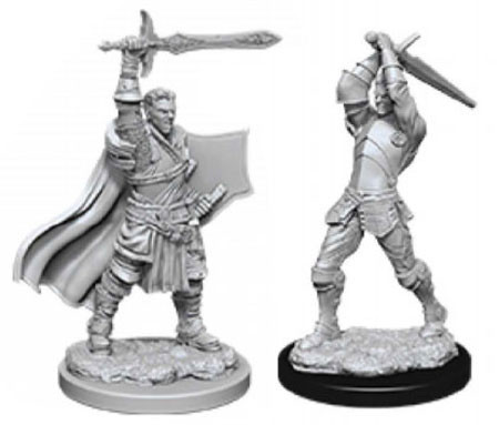 D&D Nolzur's Marvelous Minis: Male Human Paladin
