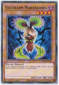 Evilswarm Mandragora (Common) - EGO1-EN012 - Yu-Gi-Oh! Single Card