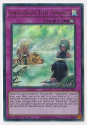 Amazoness Hot Spring (Ultra Rare) : BLCR-EN039 - Yu-Gi-Oh! Single Card