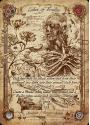 Codex of Frailty (MARVEL) : OUT160 OUTSIDERS - Flesh & Blood Single Card