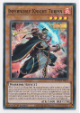 Infernoble Knight Turpin (Super Rare) : DUNE-EN014 - Yu-Gi-Oh! Single Card
