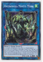 Ragnaraika Mantis Monk (Common) : LEDE-EN048 - Yu-Gi-Oh! Single Card