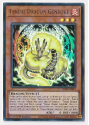 Tenpai Dragon Genroku (Ultra Rare) : INFO-EN019 - Yu-Gi-Oh! Single Card