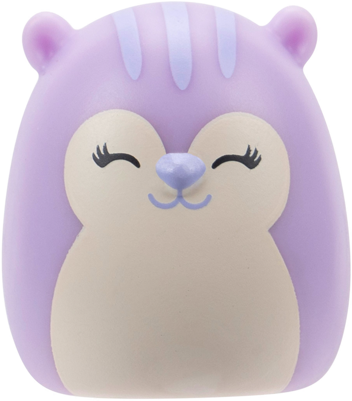 Squishmallow Squish-A-Longs Series 1 Blind Pack