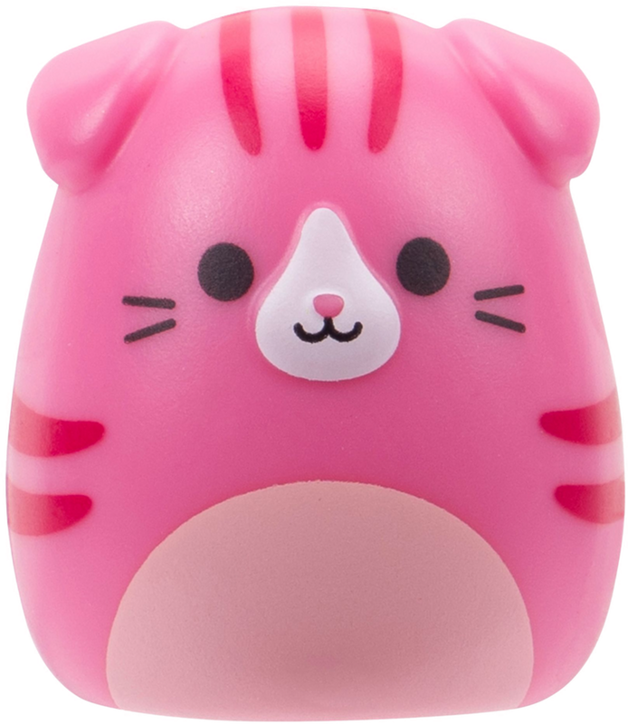 Squishmallow Squish-A-Longs Series 1 Blind Pack