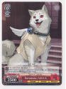 Koromaru: S.E.E.S. : WSCH-P3/SE46-E30 PERSONA 3 RELOAD - Weiss/Schwarz ...