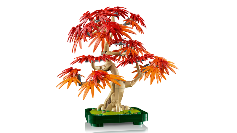 LEGO Botanicals | Japanese Red Maple Bonsai Tree | 10348