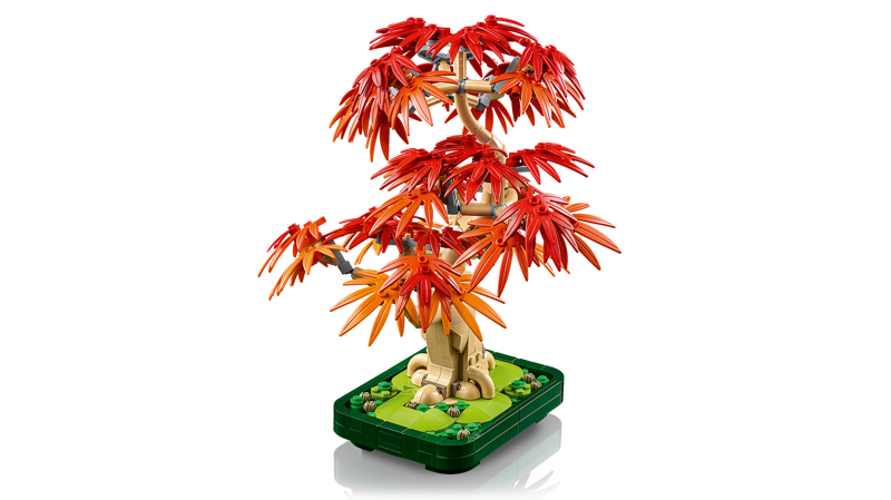 LEGO Botanicals | Japanese Red Maple Bonsai Tree | 10348