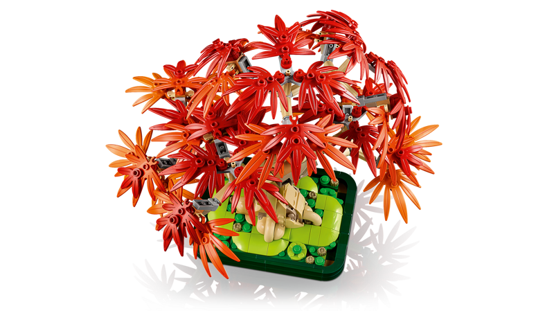 LEGO Botanicals | Japanese Red Maple Bonsai Tree | 10348