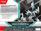 Pokemon Black Kyurem EX Collection Box | Chaos Cards