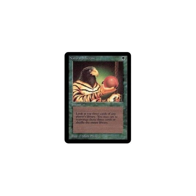 Magic the Gathering [001] LIMITED EDITION ALPHA Single Card - 173/295 ...