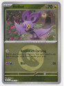Noibat (REVERSE HOLO) : MEGA EVOLUTION - ASCENDED HEROES 156/217 ...